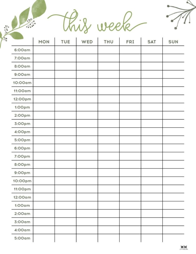 Printable Weekly Hourly Planner - King Printables