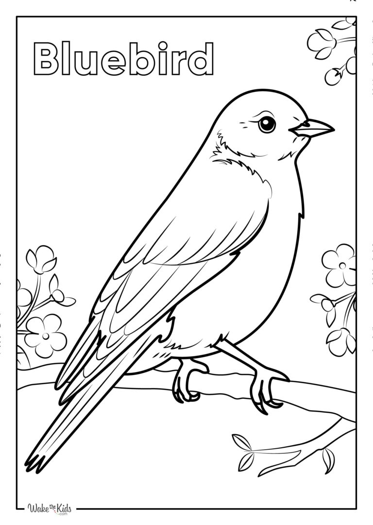 Blue Bird Coloring Pages - King Printables